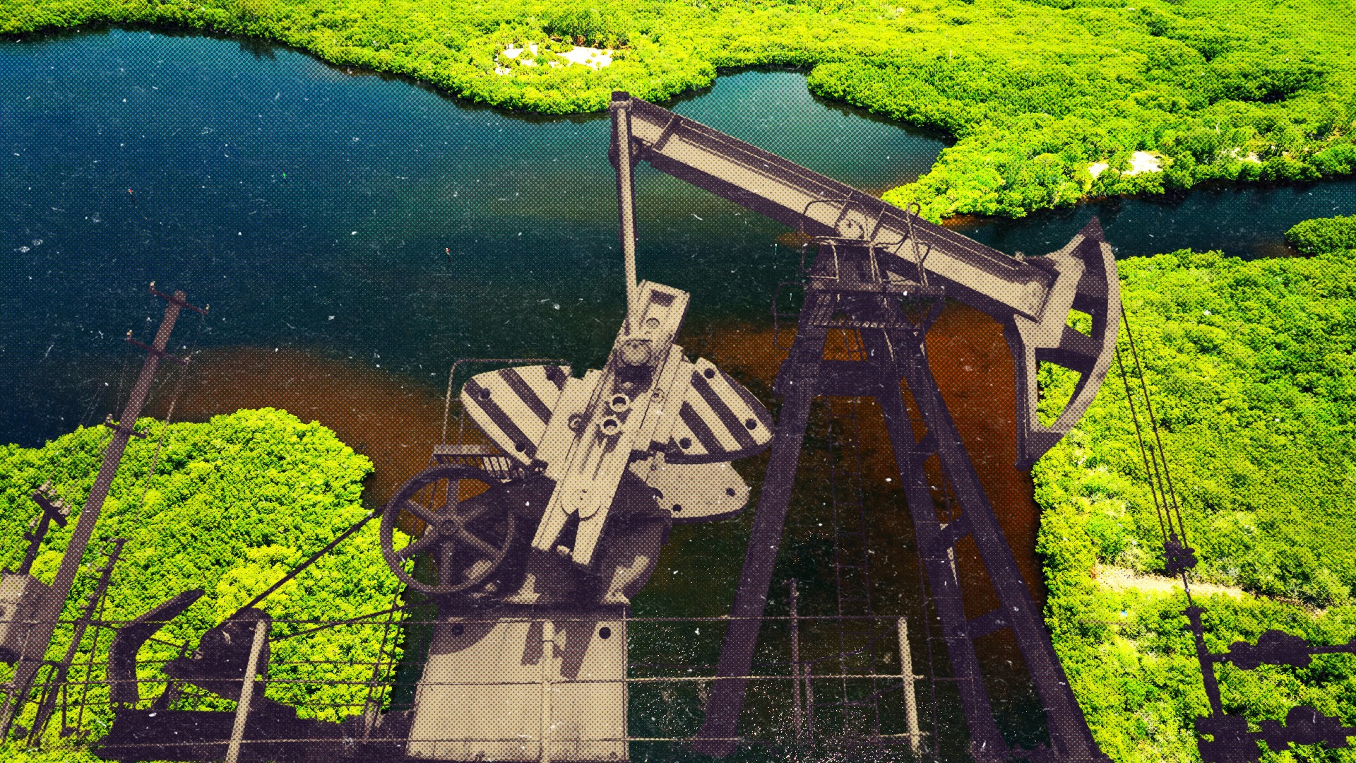 Beneath the Everglades Marshlands, Resistance Lives On – Scalawag